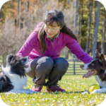 イヌトレ - 犬と飼い主のためのオンラインしつけプラットフォーム